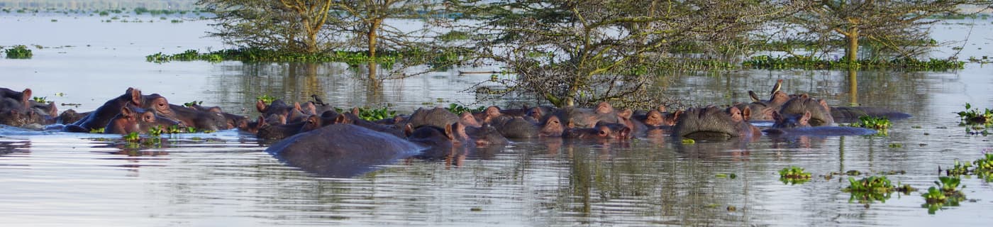 10 Places to Visit in Kitale, Tourist Places & Top Attractions