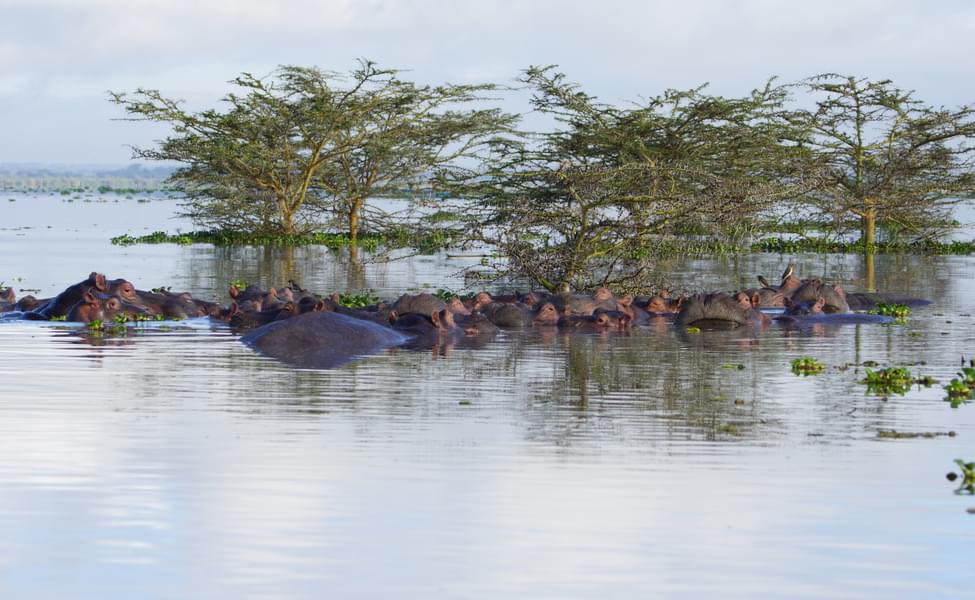 10 Places to Visit in Kitale, Tourist Places & Top Attractions