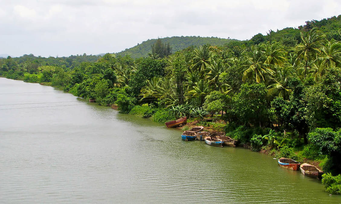 15 Things To Do In Tarkarli: 2024 (Starting from ₹800 Only)