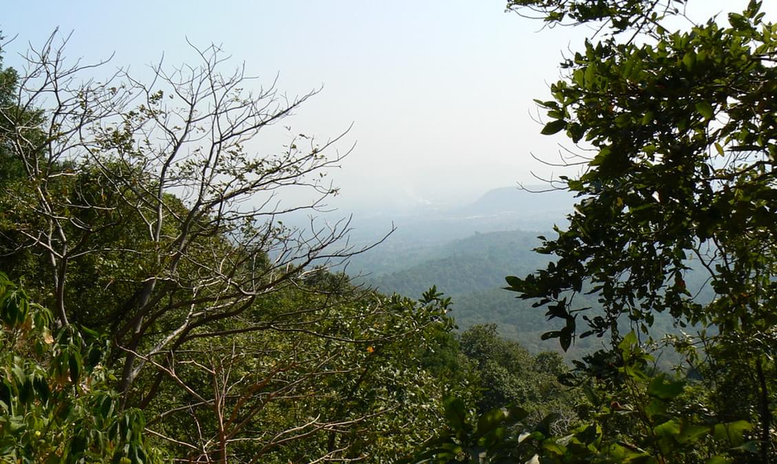 20 Wildlife Sanctuaries near Pune for an Adventurous Getaway