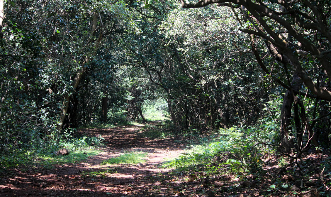 20 Wildlife Sanctuaries near Pune for an Adventurous Getaway