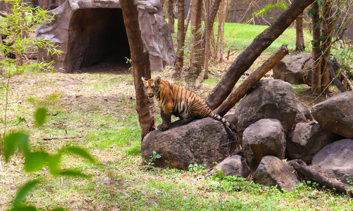 20 Wildlife Sanctuaries near Pune for an Adventurous Getaway