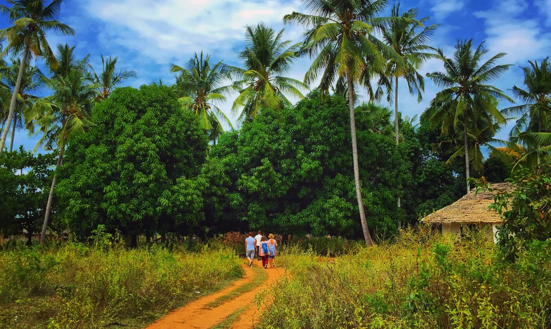 72 Places to Visit in Tanzania, Tourist Places & Top Attractions
