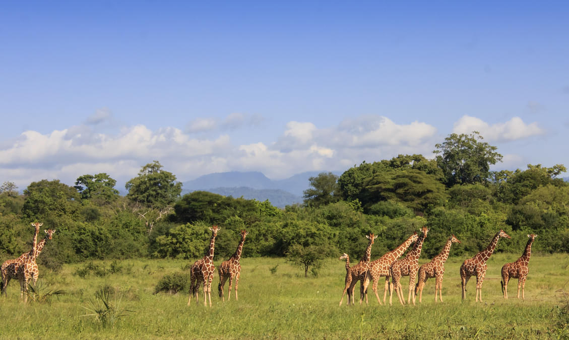 55 Places to Visit in Kenya, Tourist Places & Top Attractions