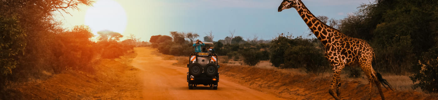 55 African Safari Packages: UPTO 35% Off African Safari Tours