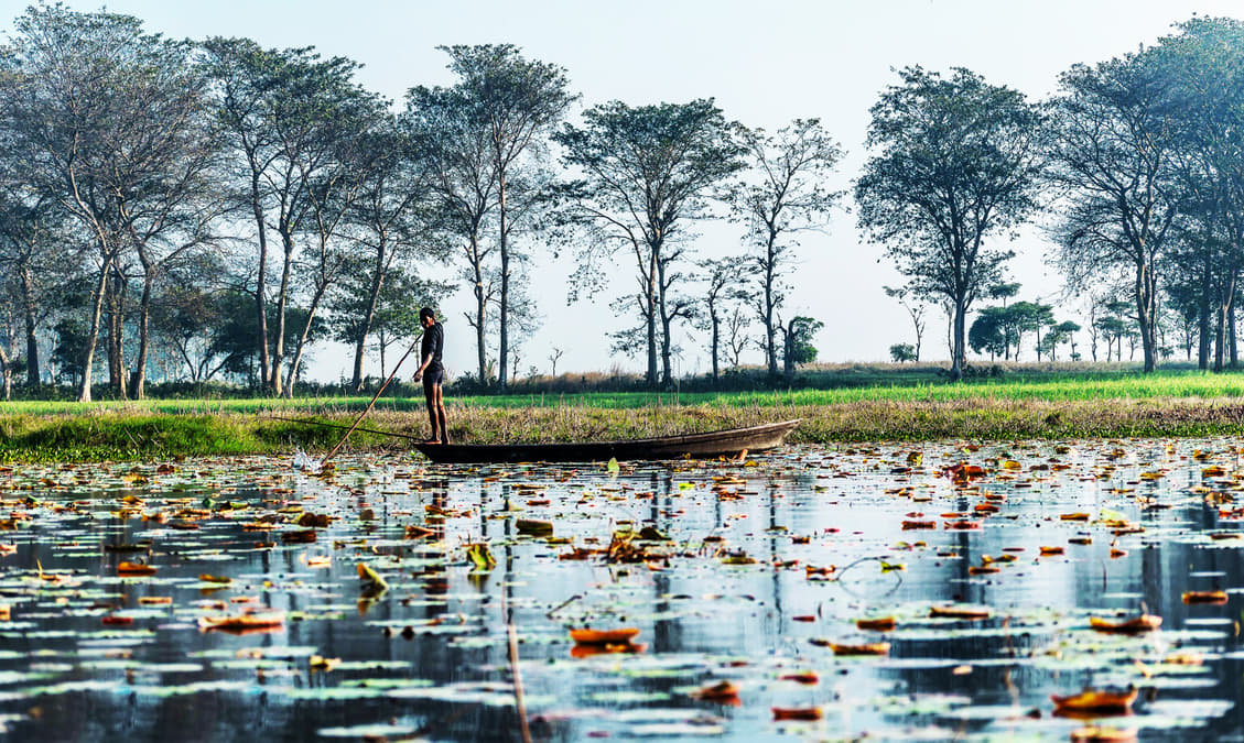 114 Places to Visit in Bihar, Tourist Places & Top Attractions