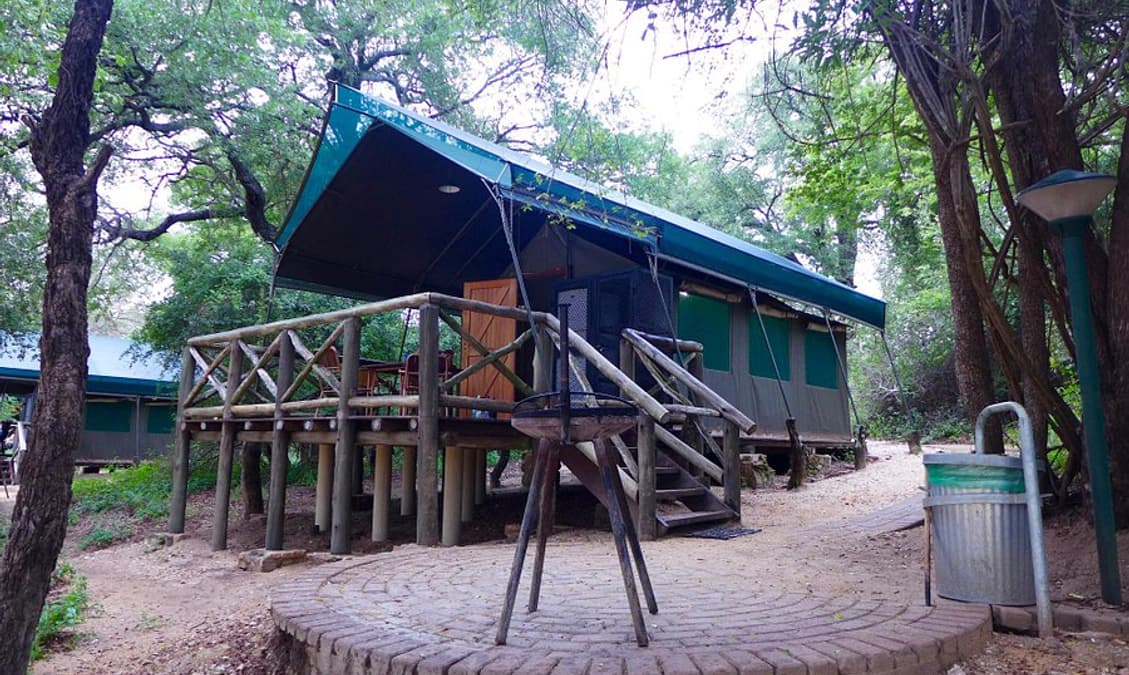 Kruger National Park Tour Packages: Book & Get UPTO 35%