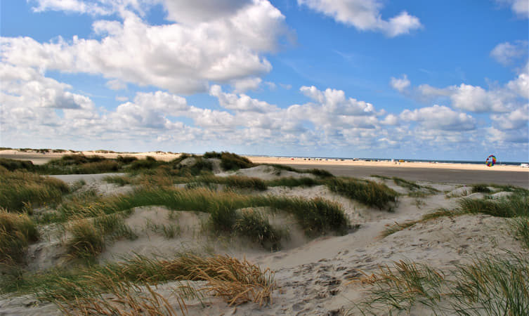 20 Beaches in Denmark For An Unforgettable Vacation!
