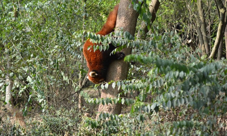 15 Best Places to Experience Wildlife in Bihar