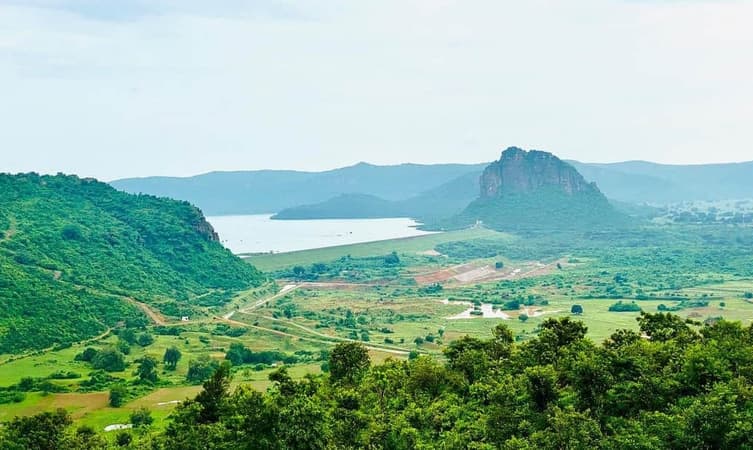 15 Best Places to Experience Wildlife in Bihar