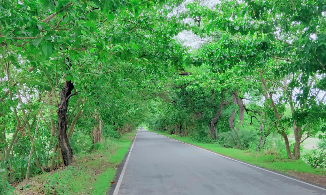 20 Places to Visit near Patna for A Quick Weekend Trip