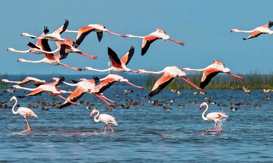 20 Places to Visit near Patna for A Quick Weekend Trip