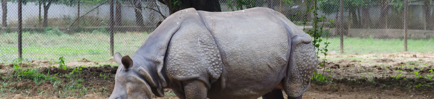 15 Best Places to Experience Wildlife in Bihar