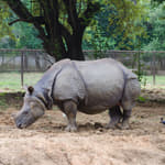 15 Best Places to Experience Wildlife in Bihar