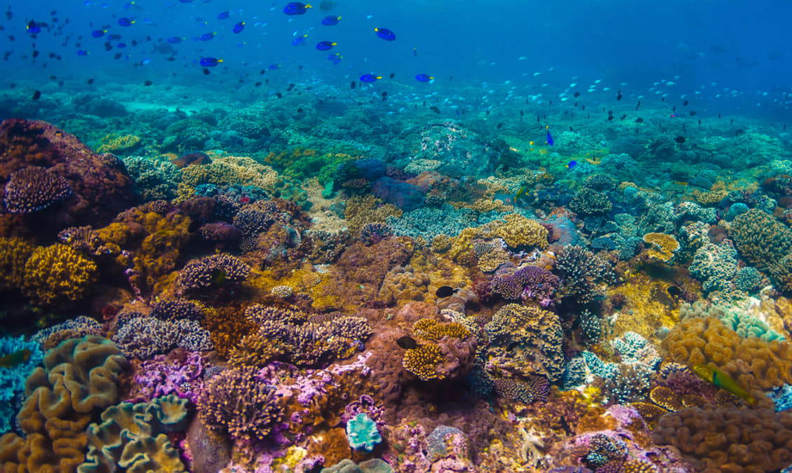 Australia in December: Things to Do, Places to Visit & Events 2026