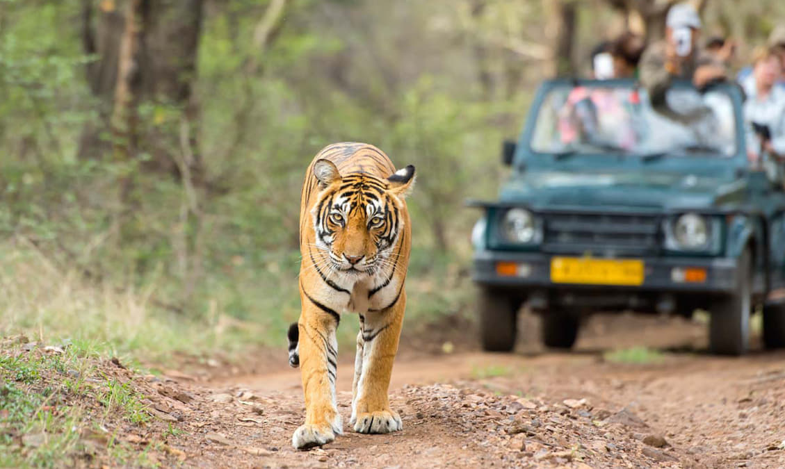 25 Outdoor Adventure Activities You Don't Want to Miss in Bihar!