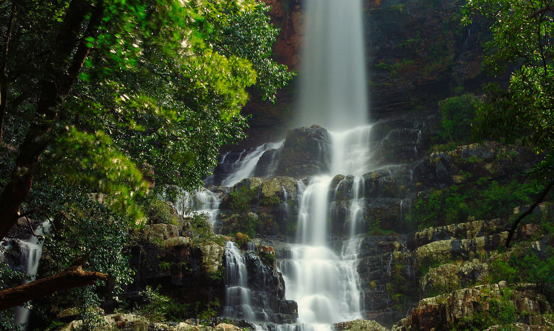 25 Outdoor Adventure Activities You Don't Want to Miss in Bihar!