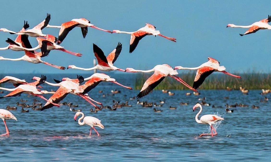 12 Great Bihar Road Trips You Must Do Once in Your Lifetime