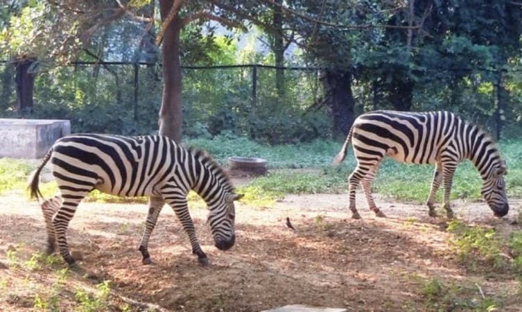 15 Best Places to Experience Wildlife in Bihar