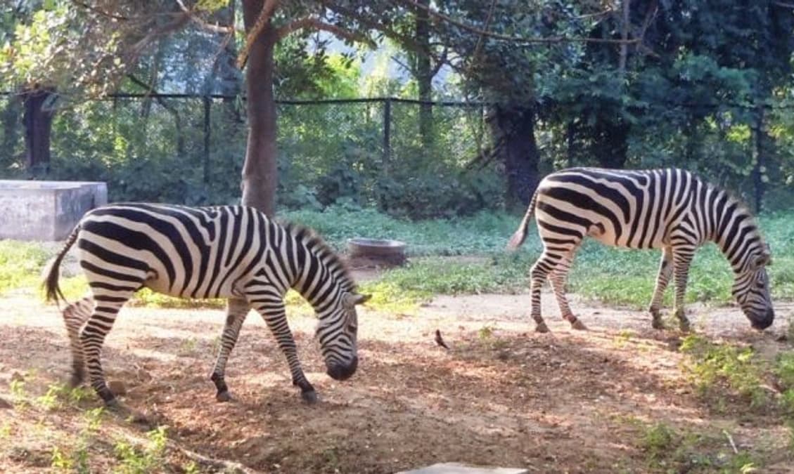 15 Best Places to Experience Wildlife in Bihar
