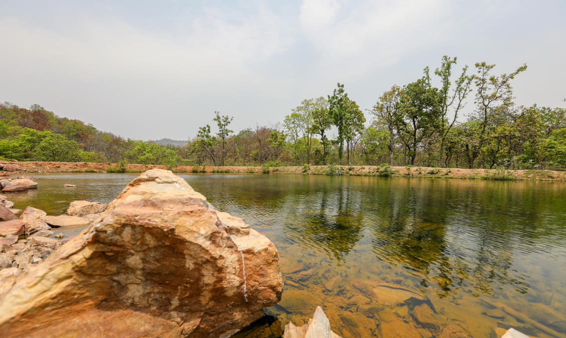 15 Best Places to Experience Wildlife in Bihar