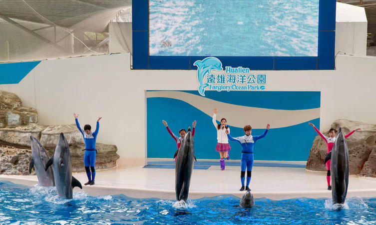 15 Best Things to Do in Ocean Park Hong Kong | Upto 20% Off