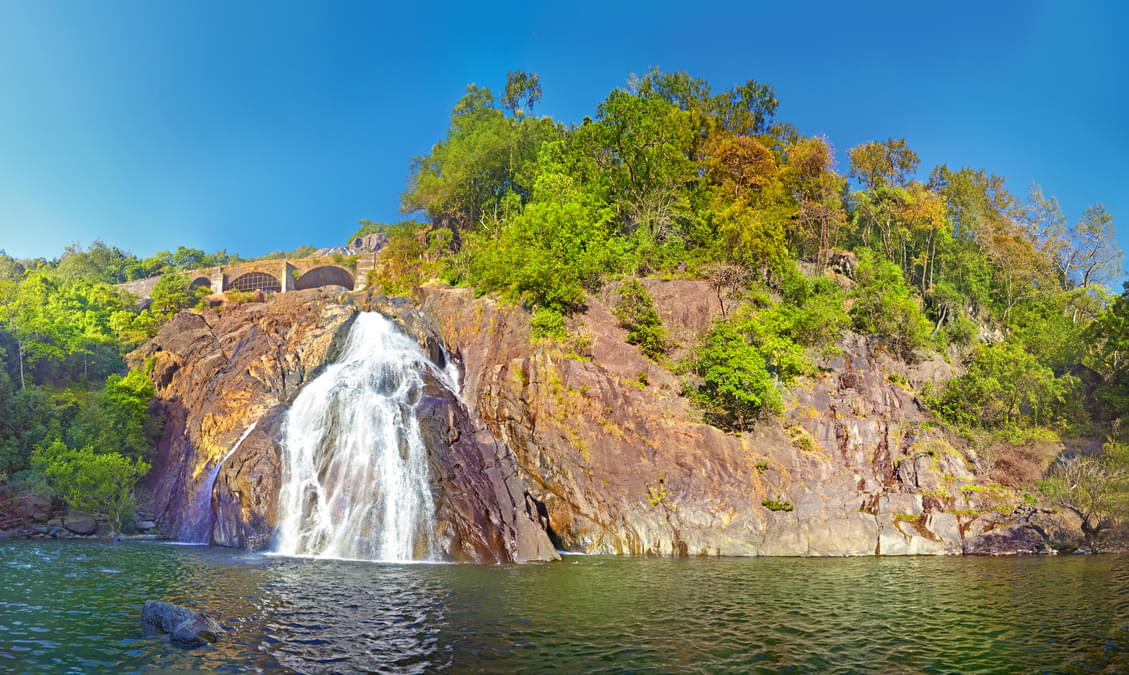 7 Best Wildlife Sanctuaries in GOA - 2025 (Photos & Reviews)