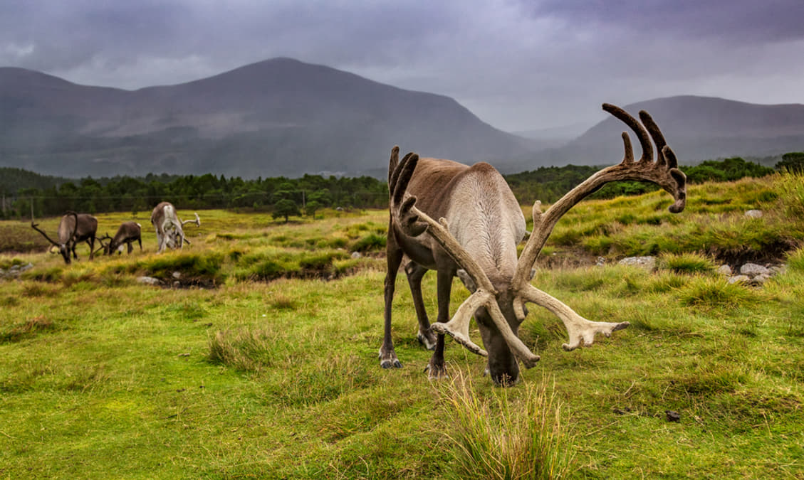 15 Places to Visit in Scotland in December in 2024