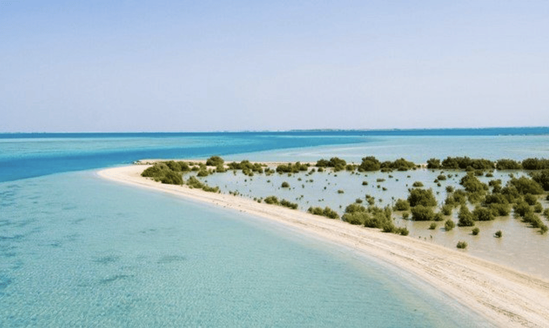 10 Best Beaches in Saudi Arabia For A Sun-Kissed Getaway