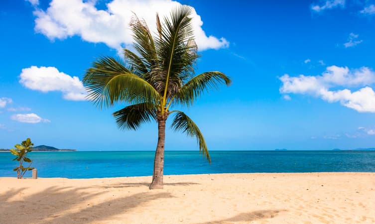 10 Best Beaches in Saudi Arabia For A Sun-Kissed Getaway