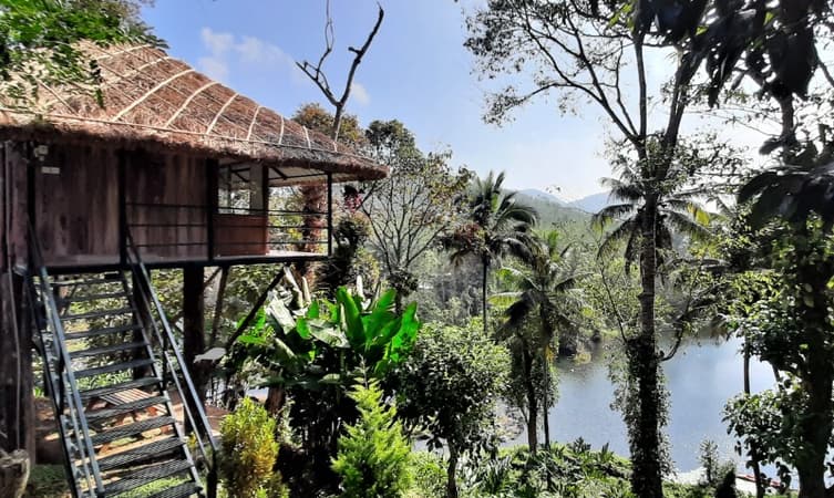 10 Tree Houses in Thekkady: Book Now & Get Upto 50% Off