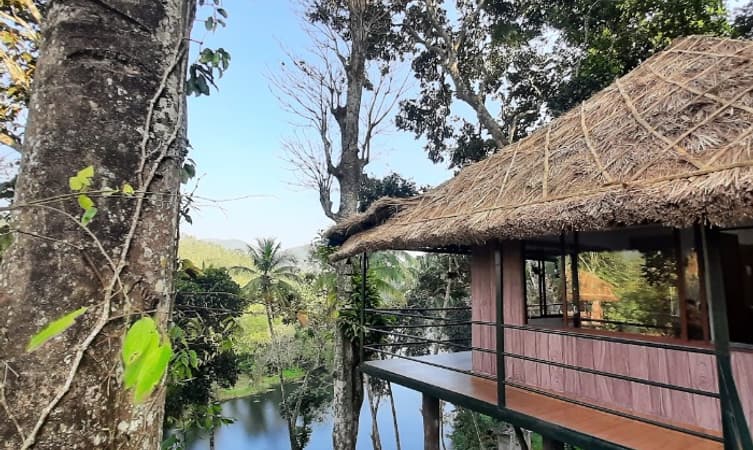 10 Tree Houses in Thekkady: Book Now & Get Upto 50% Off