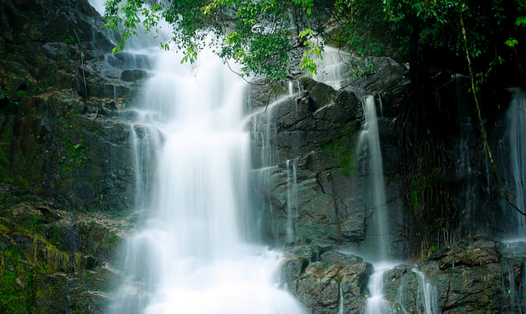 7 Waterfalls In & Near Kochi Not To Be Missed In 2025!