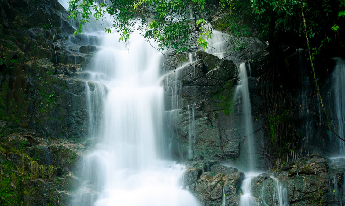 7 Waterfalls In & Near Kochi Not To Be Missed In 2026!