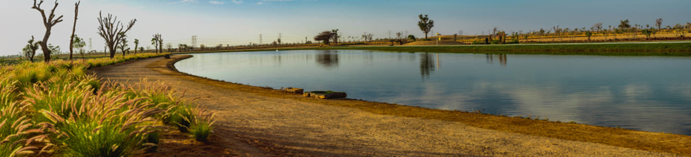 Al Qudra Lake Guide: Things to Do & Places to Visit in 2026
