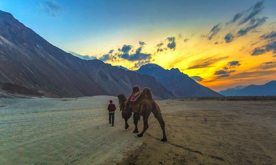 Ladakh in September: How to Plan Your Trip & Places to See in 2026
