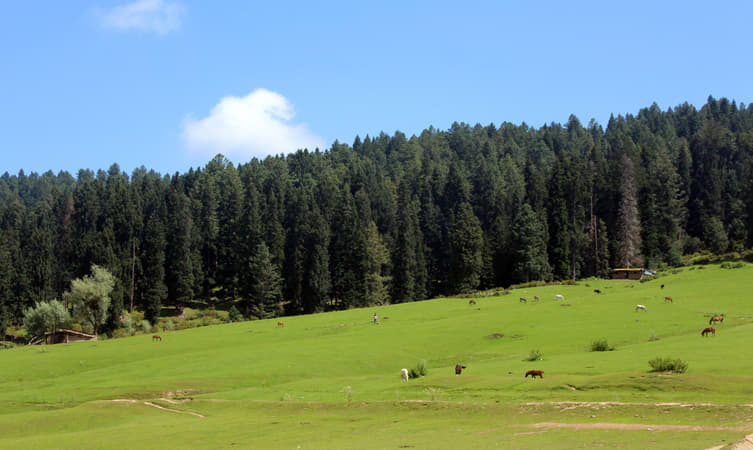 15 Places to Visit Near Srinagar That Are Perfect For A Getaway!