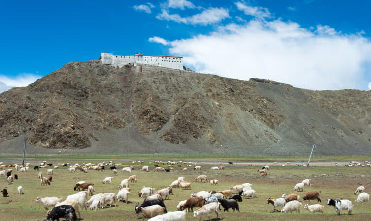 Leh to Hanle: How to Plan a Road Trip - 2025