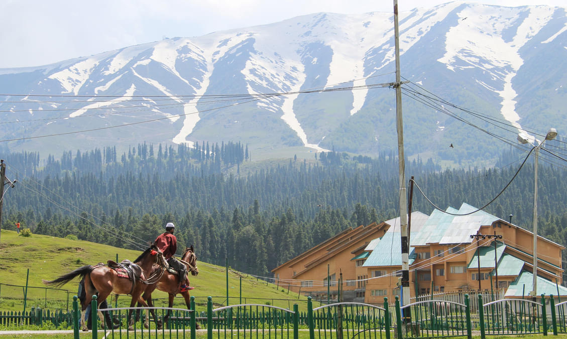 15 Things to Do in Gulmarg in December That You Must Try!
