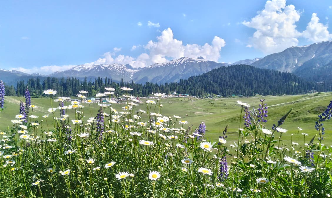 15 Things to Do in Gulmarg in December That You Must Try!