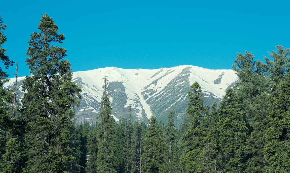 10 Places to Visit in Gulmarg in December