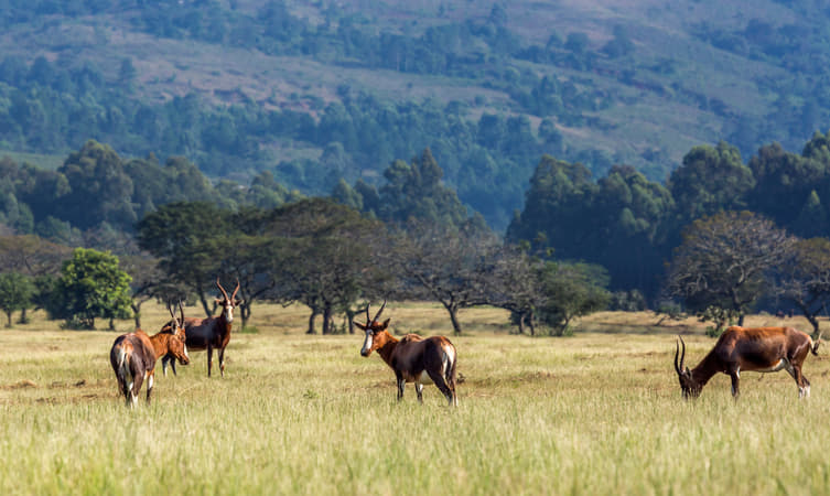 20 Places to Visit In Tripura, Tourist Places & Top Attractions