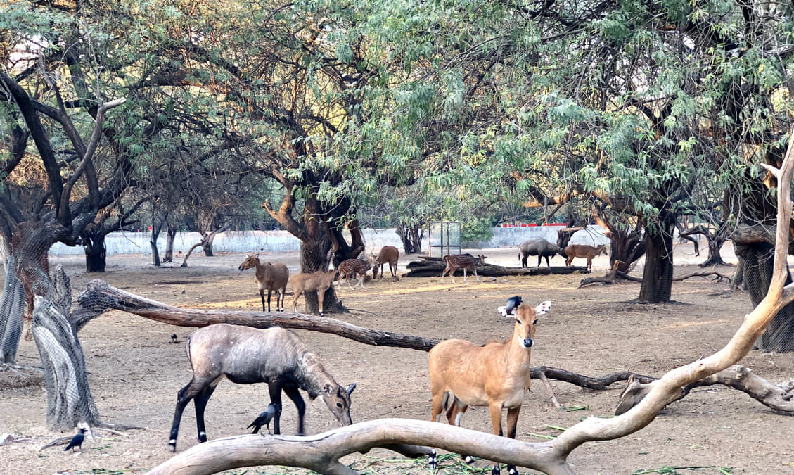 20 Places to Visit in Manipur, Tourist Places & Top Attractions