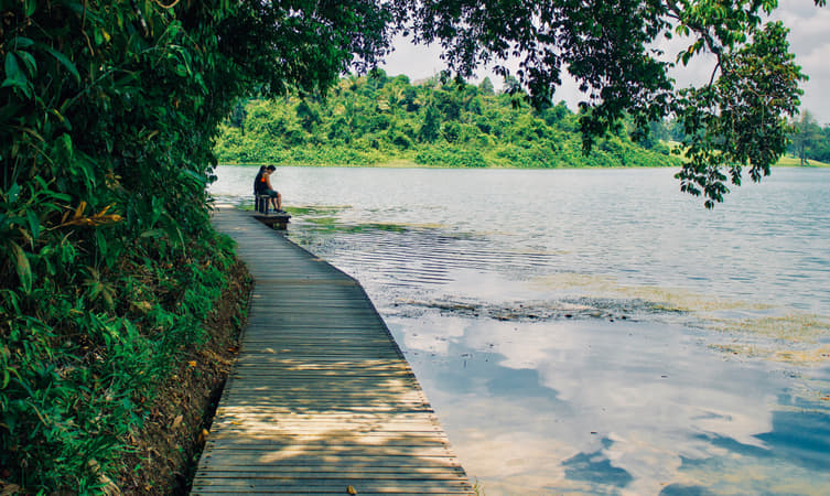 5 Best Trails at MacRitchie Reservoir: From Easy to Difficult