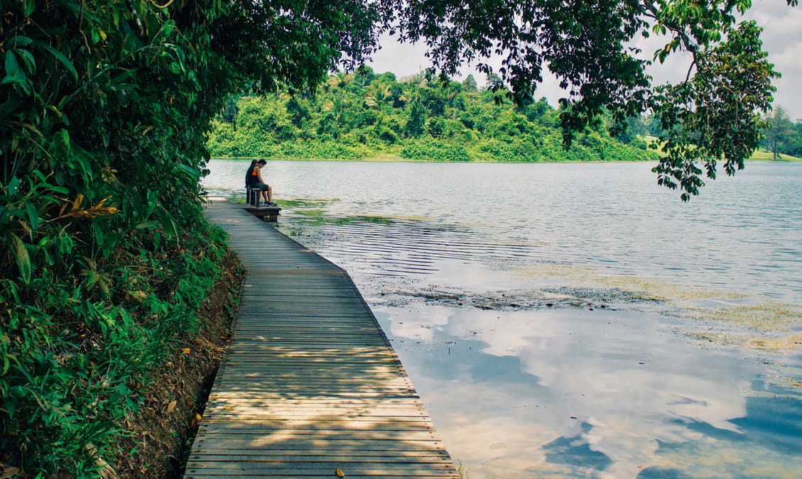 5 Best Trails at MacRitchie Reservoir: From Easy to Difficult
