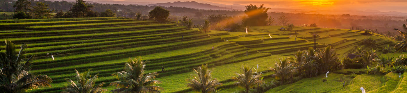 10 Things to Do in Bali in April for an Extraordinary Experience!