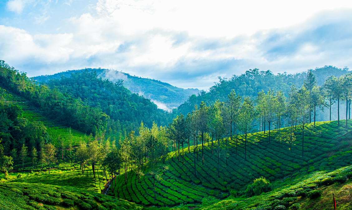 20 Places to Visit in Kerala in April For A Cheerful Holiday!