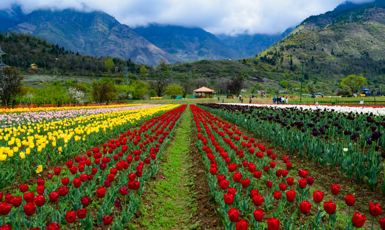 30 Beautiful Places To Visit in April in India 2025