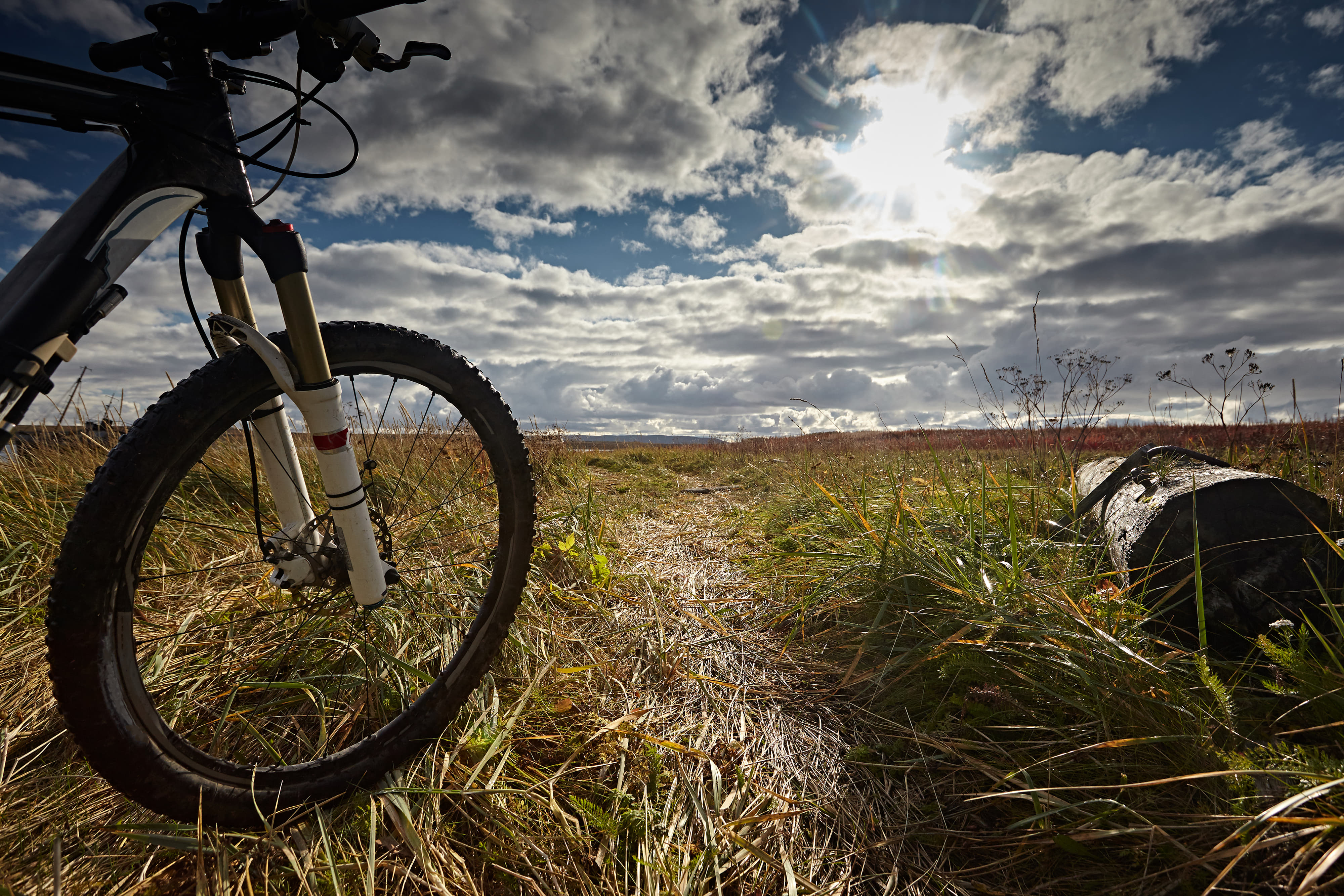 15 Things To Do In Glasgow With Kids For An Fun-Filled Day