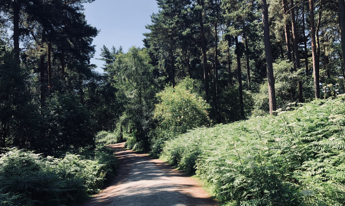 15 Places To Visit Near Manchester For A Delightful Experience